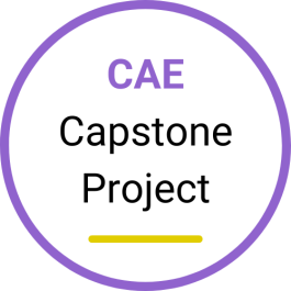 CAE Capstone Project January 2026